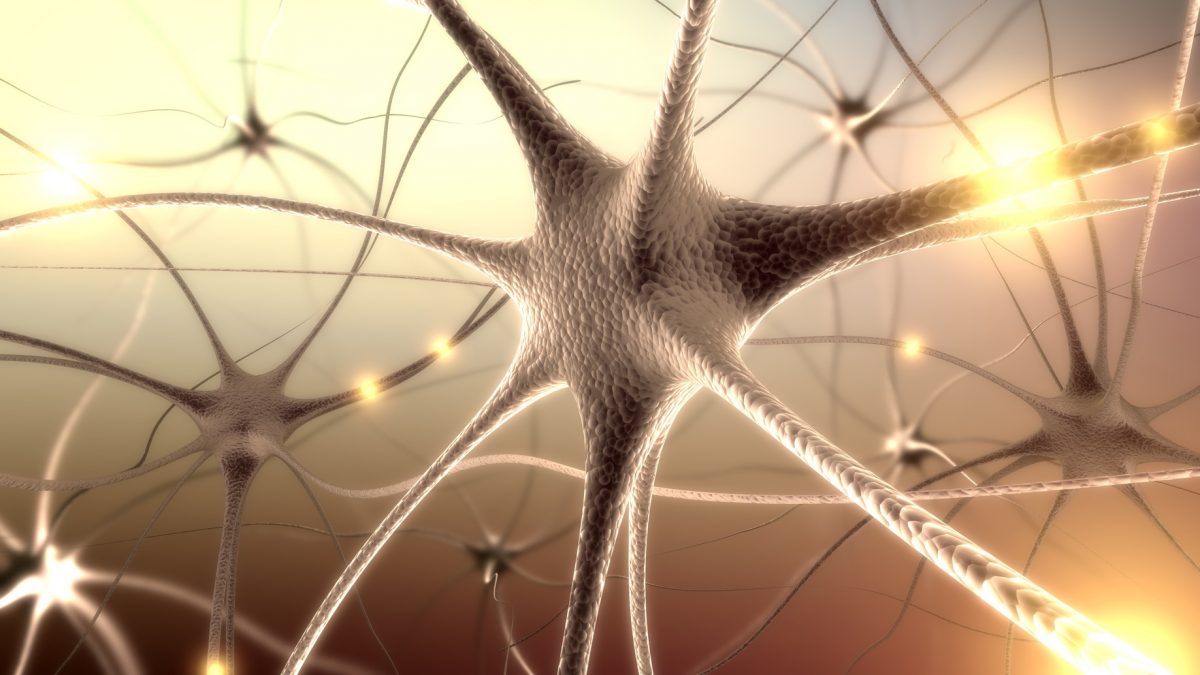 Your Brain on Hypnosis, According to Best Science